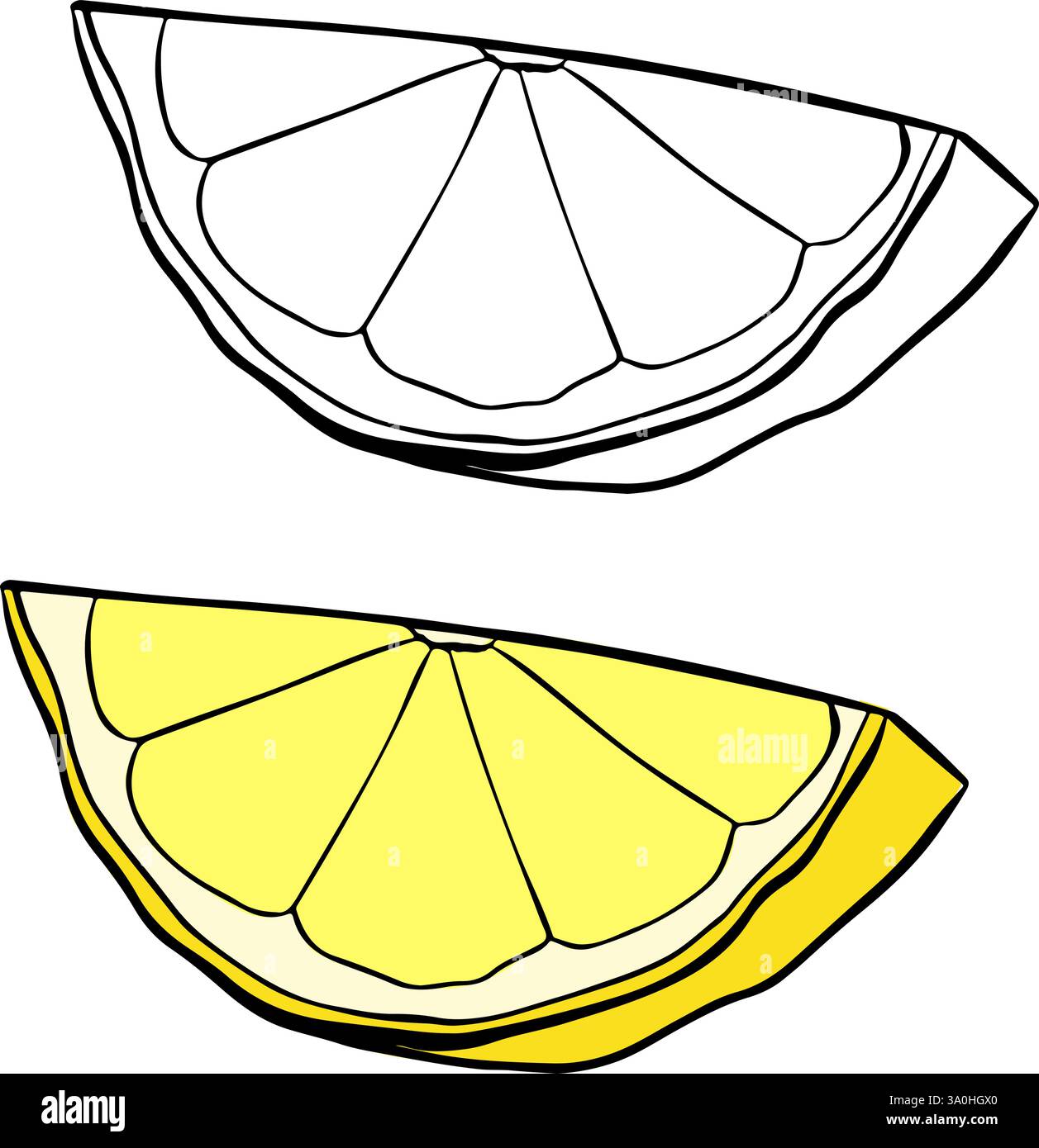 lemon slice graphic line ink illustration. Vector isolated on white ...