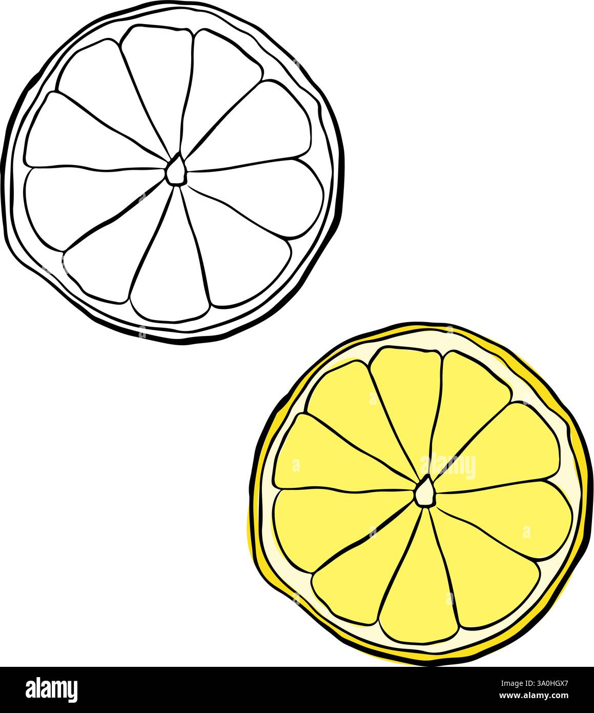 lemon slice Hand drawn graphic line ink illustration Vector isolated ...