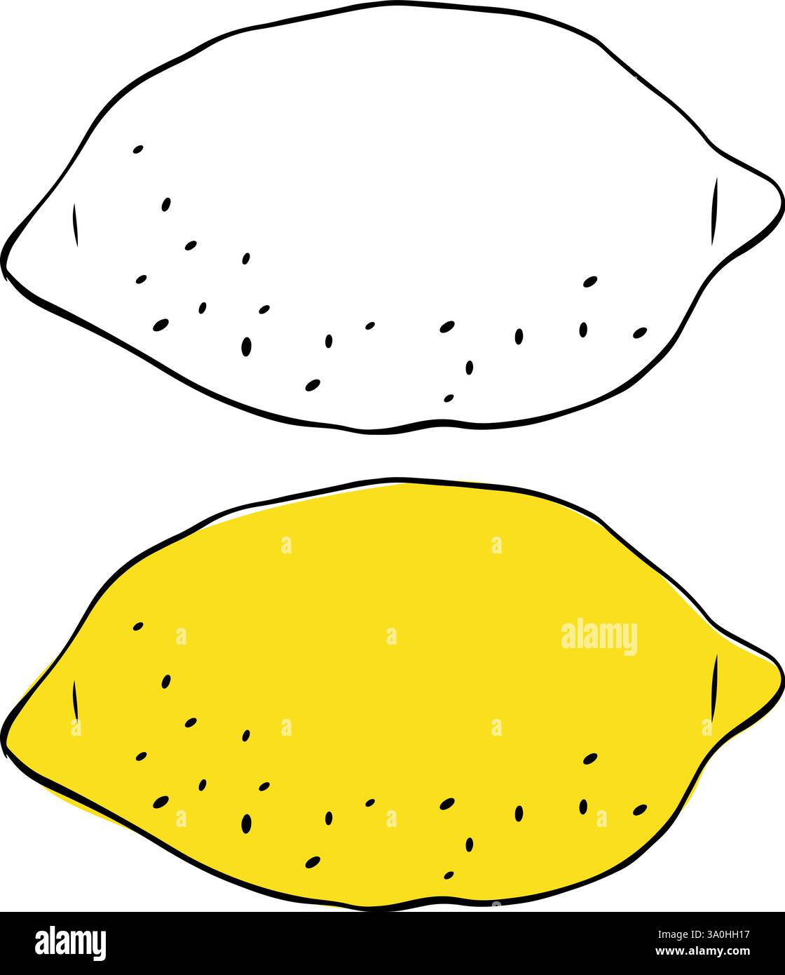 Fresh lemon graphic line ink illustration. isolated vector on ...