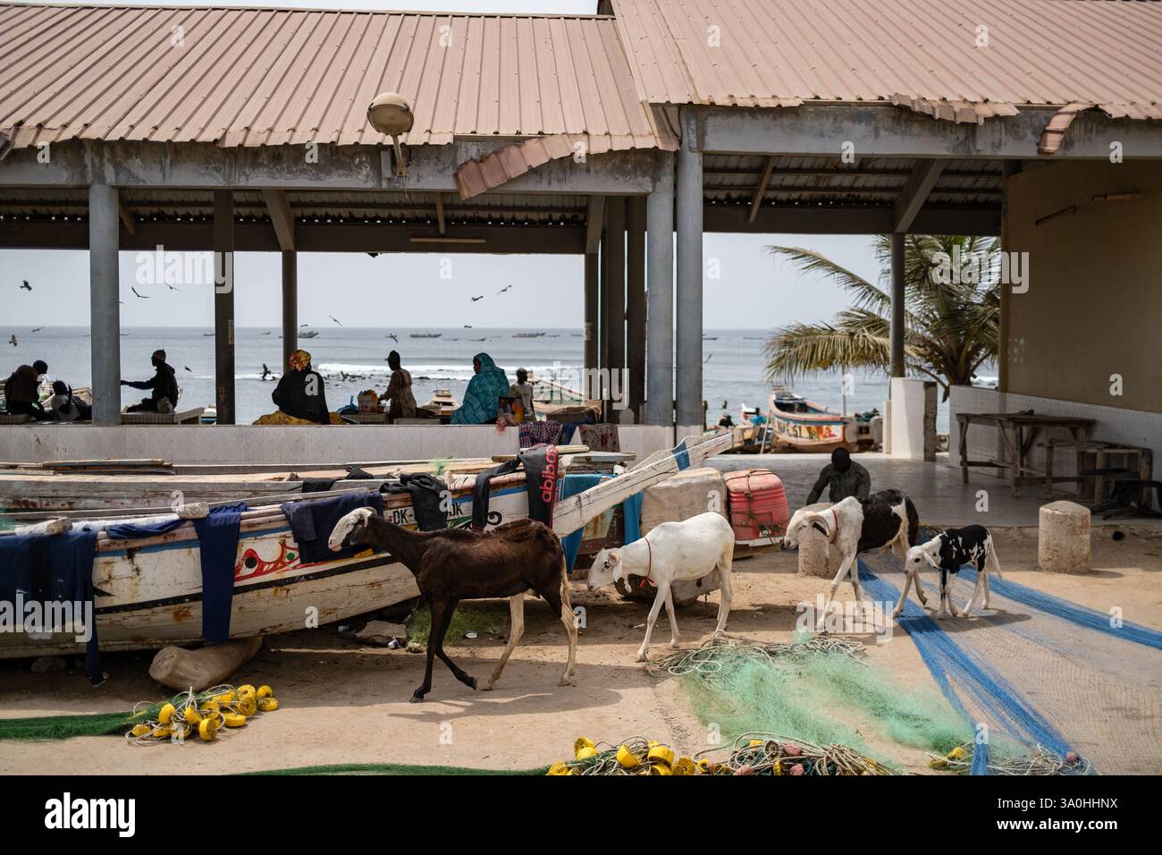 Dakar, Senegal. 12th Feb, 2025. The fishing pier at Ouakam beach in ...