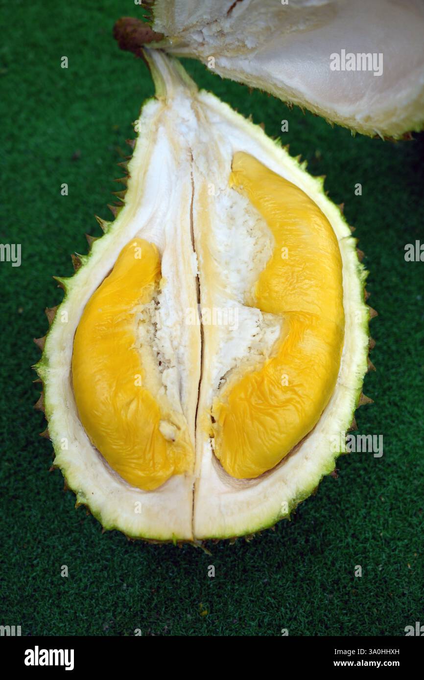Yellow durian fruit cut open in Singapore Stock Photo - Alamy