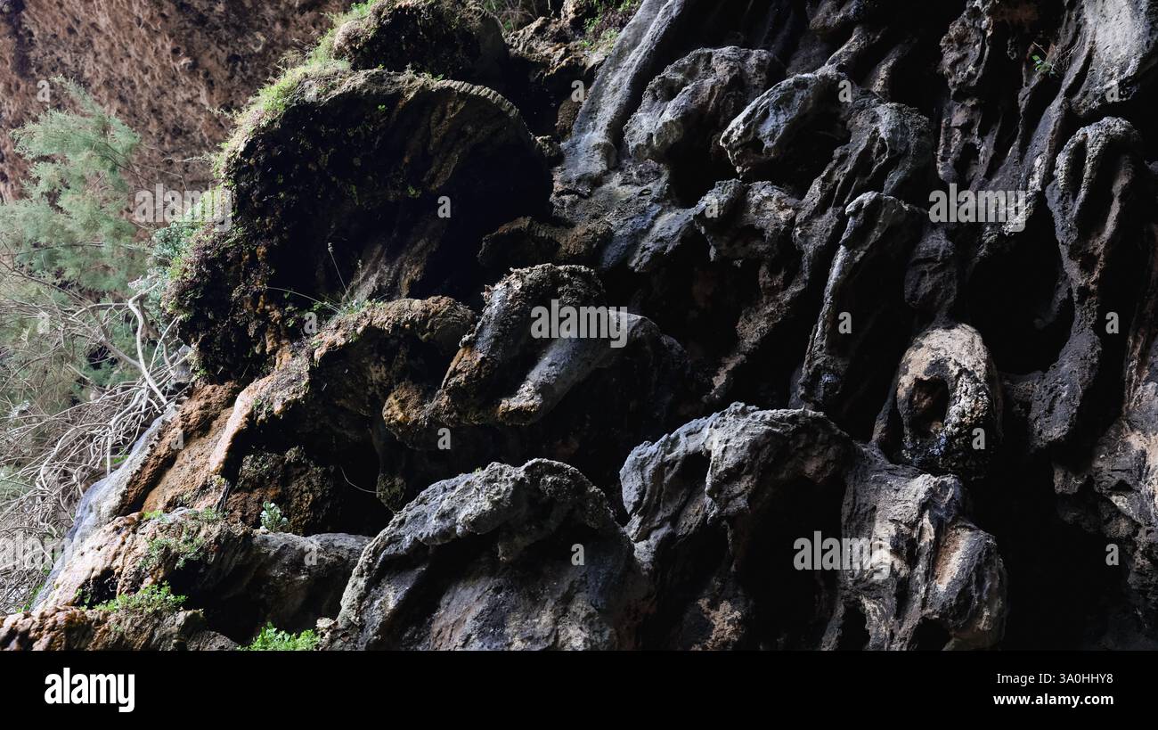 Discover stunning rock formations on Socotra Island, showcasing natures ...
