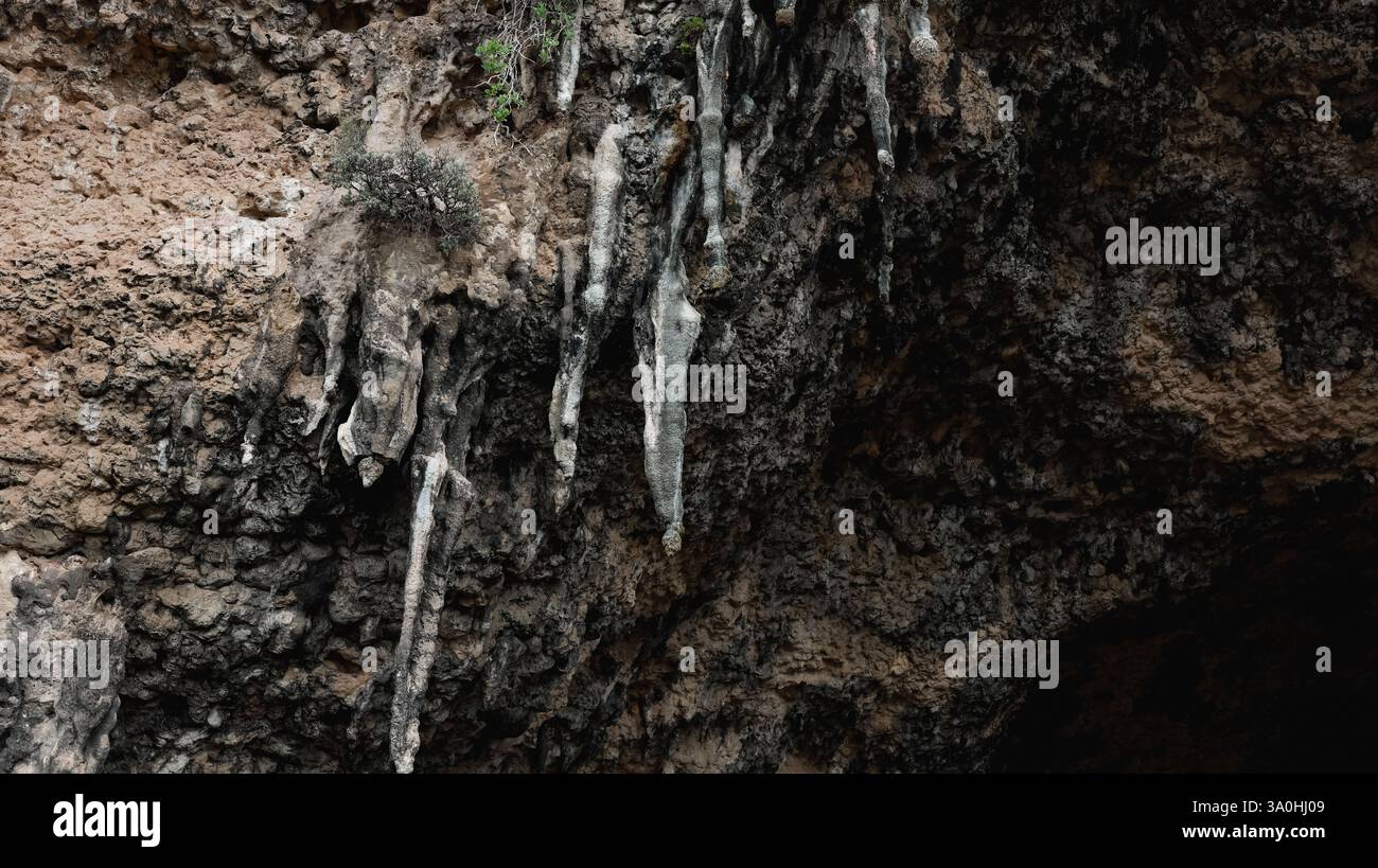 Explore stunning rock formations on Socotra Island featuring unique ...