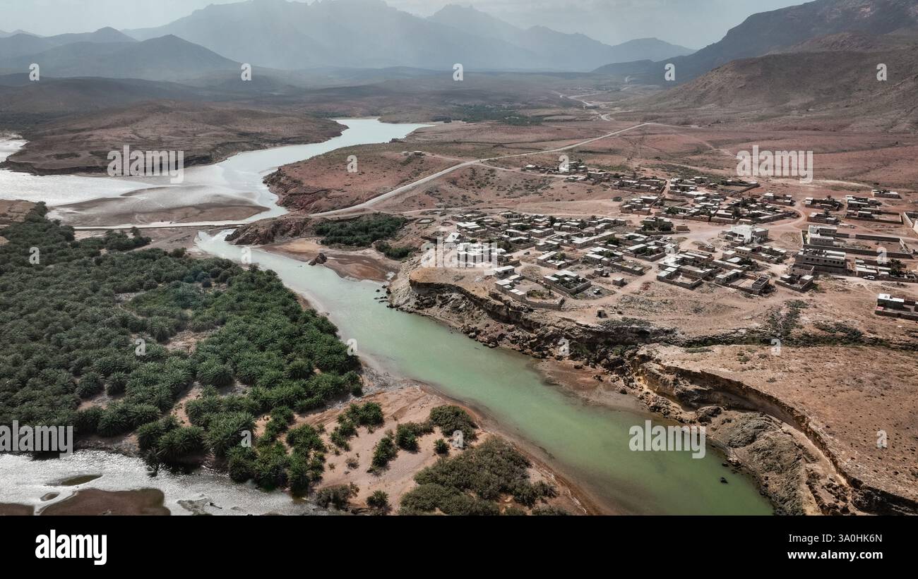 Diverse flora and fauna thrive along the lush riverbanks of Socotra ...