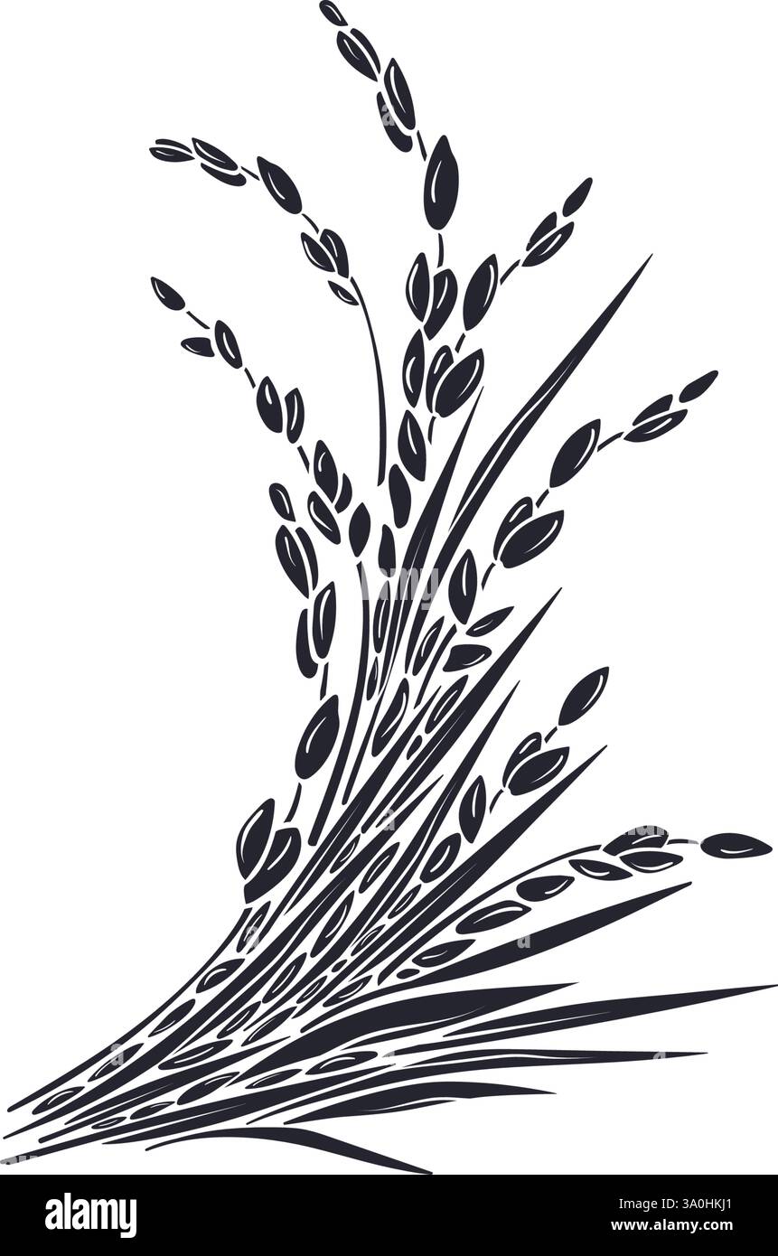 Rice plant, grain. Vector symbol on white background. Graphic panicles ...