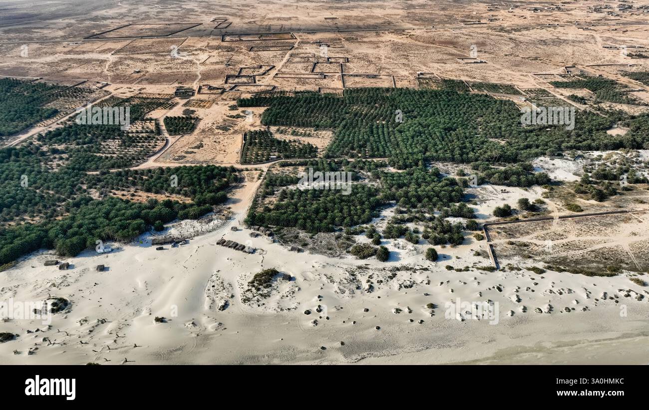 Aerial view showcasing the unique vegetation and sandy terrain of ...