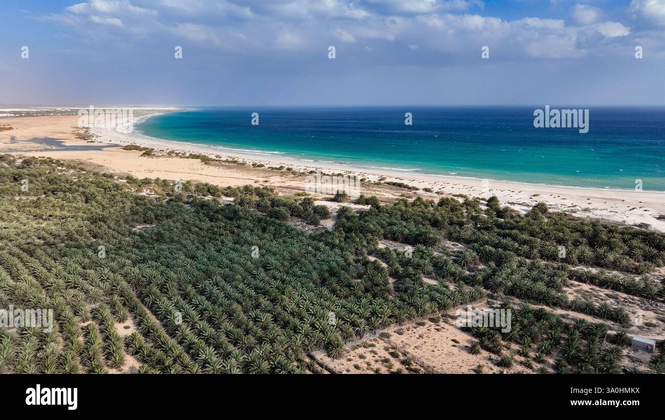 Marvel at the stunning coastline of Socotra Island where green ...