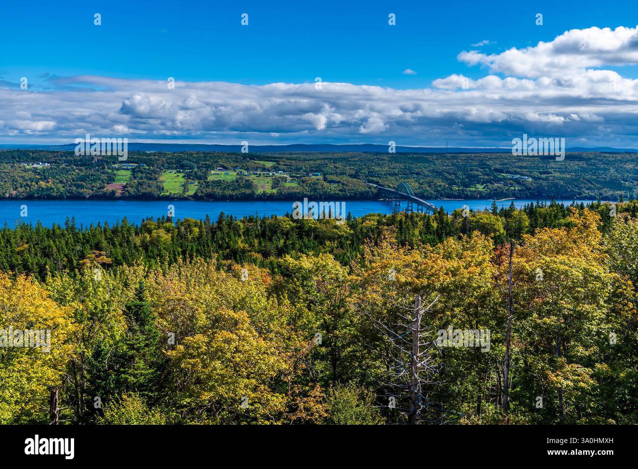 A panorama view over the forest towards the Seal Island Bridge on the ...
