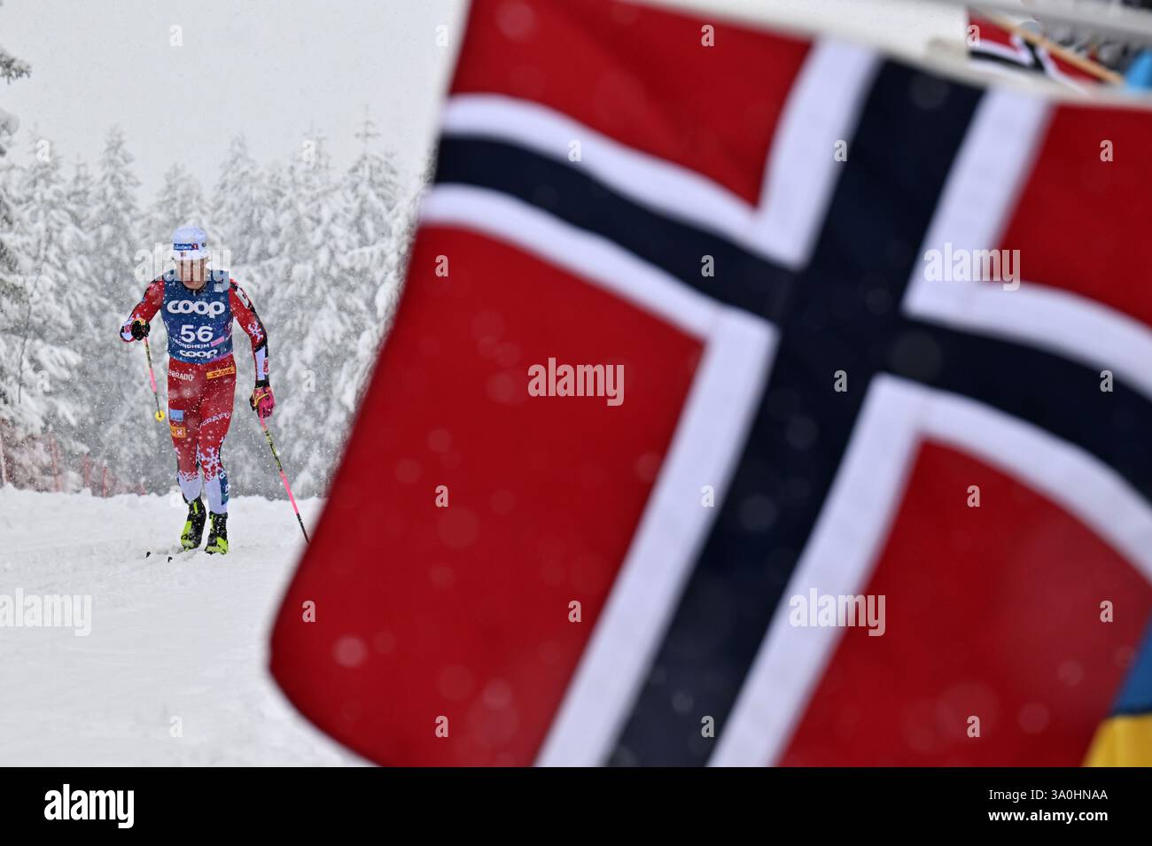 Trondheim, Norway. 04th Mar, 2025. Nordic skiing, World Championships ...