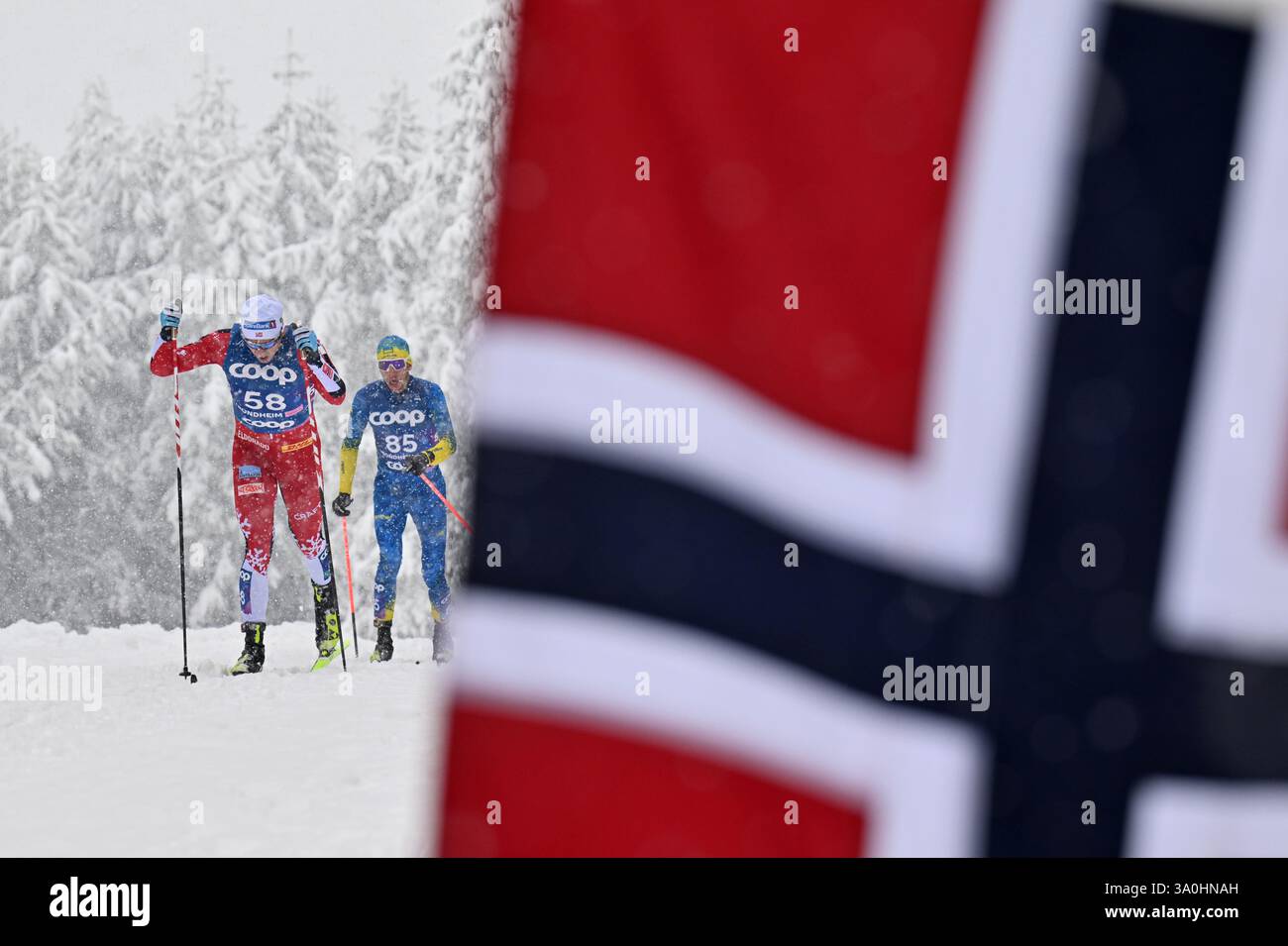 Trondheim, Norway. 04th Mar, 2025. Nordic skiing, World Championships ...