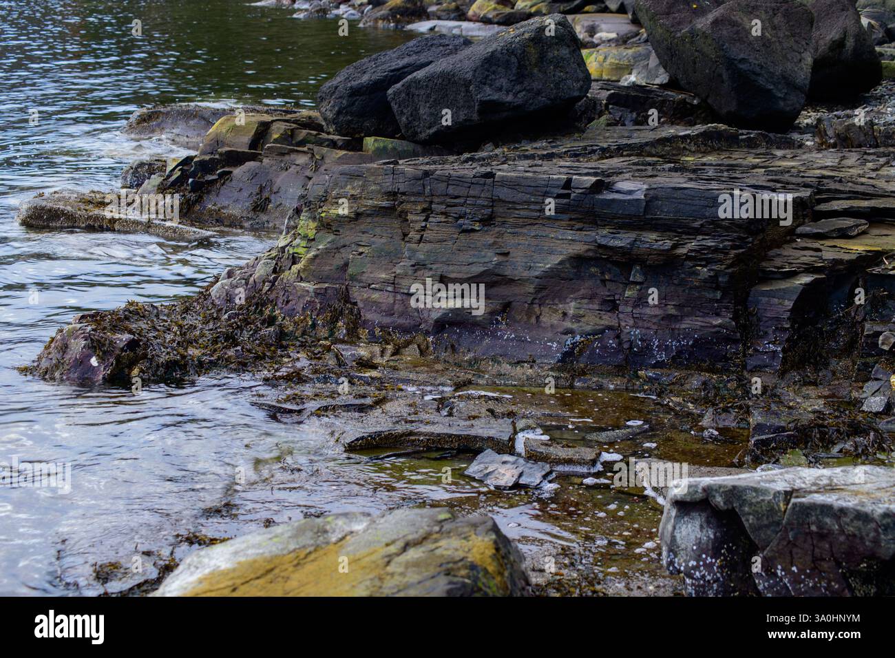 Rugged beach detail of rocks with barnacles. Slate stone in layers ...