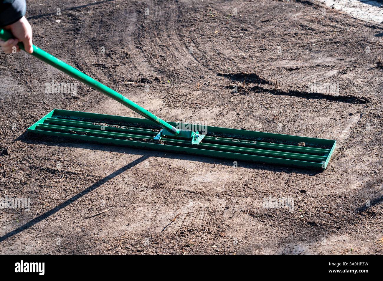 Man uses a lawn rake to level the ground in the garden to even out any ...