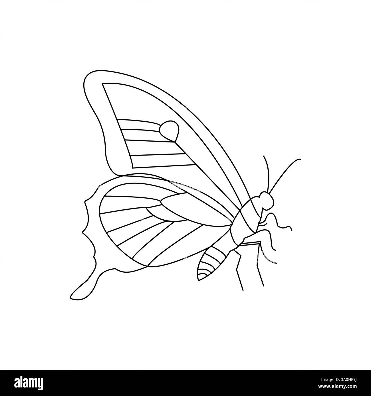 Vector illustration continuous Butterfly one line drawing Stock Vector ...