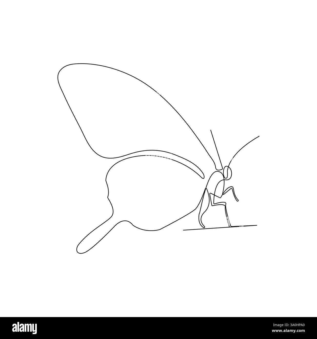 Vector illustration continuous Butterfly one line drawing Stock Vector ...