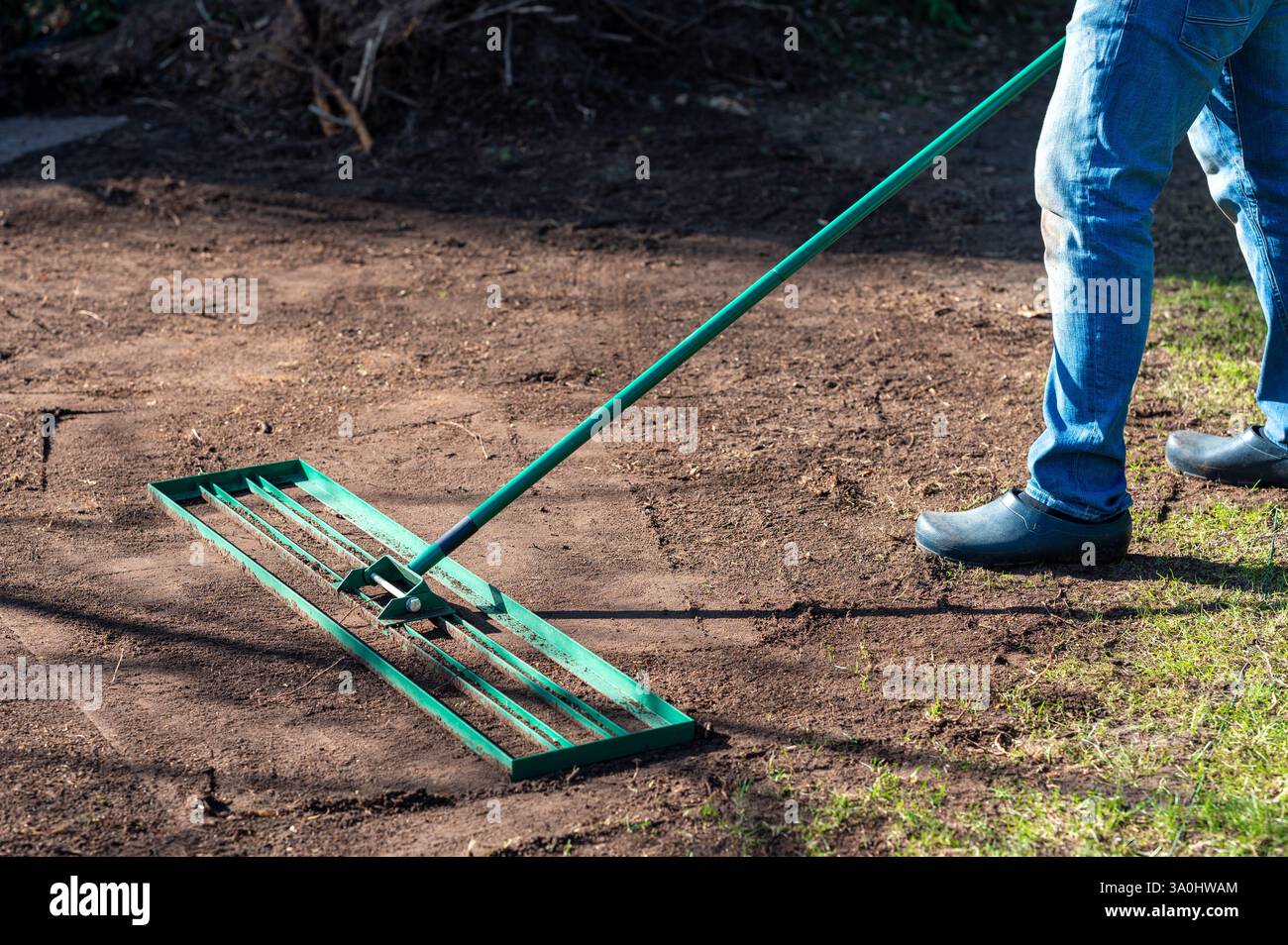 Man uses a lawn rake to level the ground in the garden to even out any ...