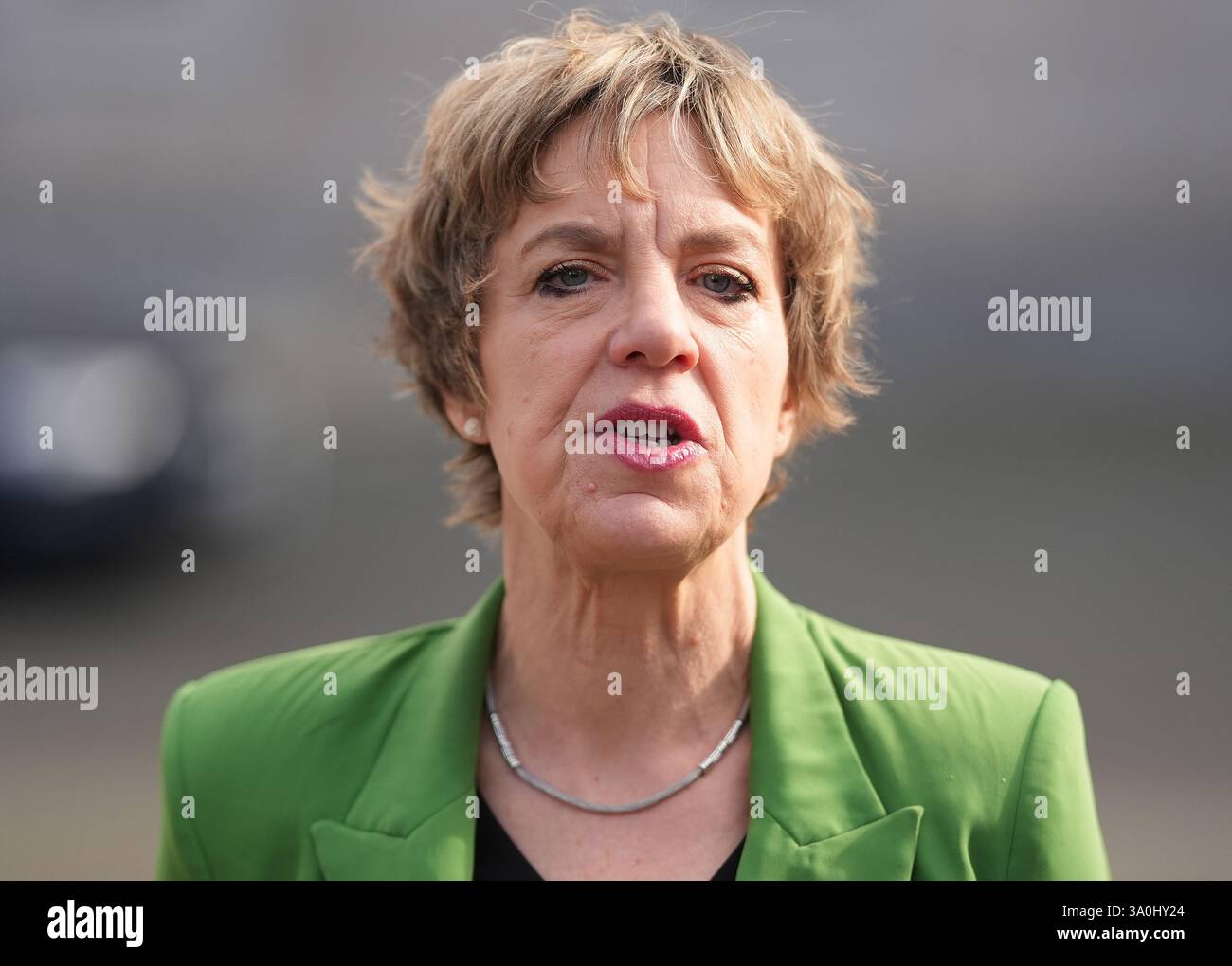 Labour leader Ivana Bacik speaking to the media at Leinster House in ...
