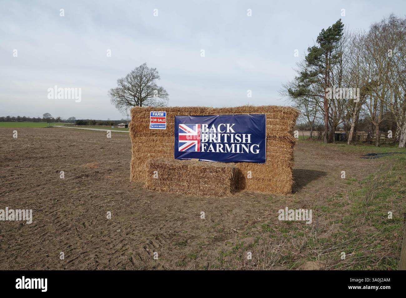 Rachel reeves rachel reeves hi-res stock photography and images - Alamy