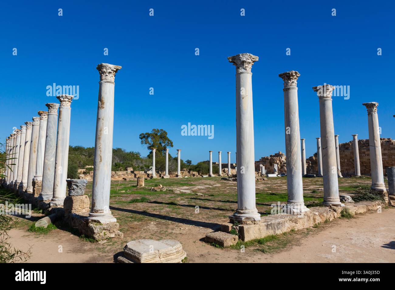 Pillars at the ancient Greek city of Salamis, in the Turkish Northern ...