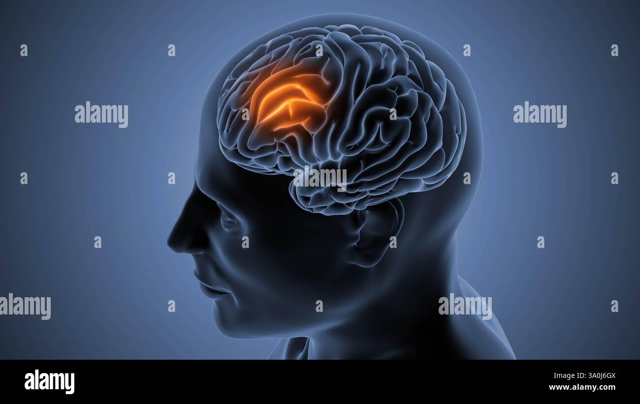 Neuroscience Brain Cancer medical concept Stock Photo - Alamy