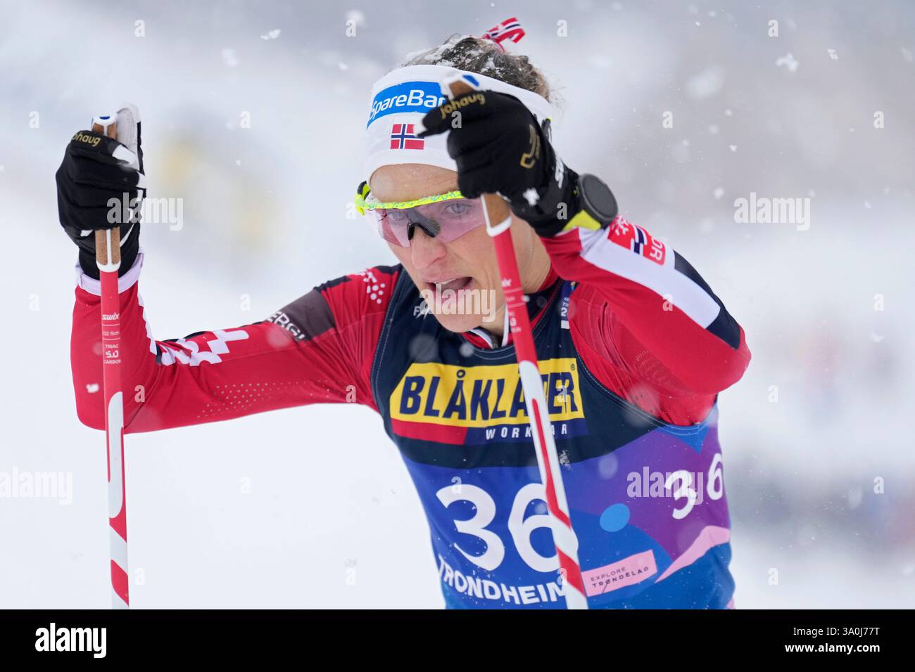 Therese Johaug, of Norway, starts in the women's cross-country 10 Km ...