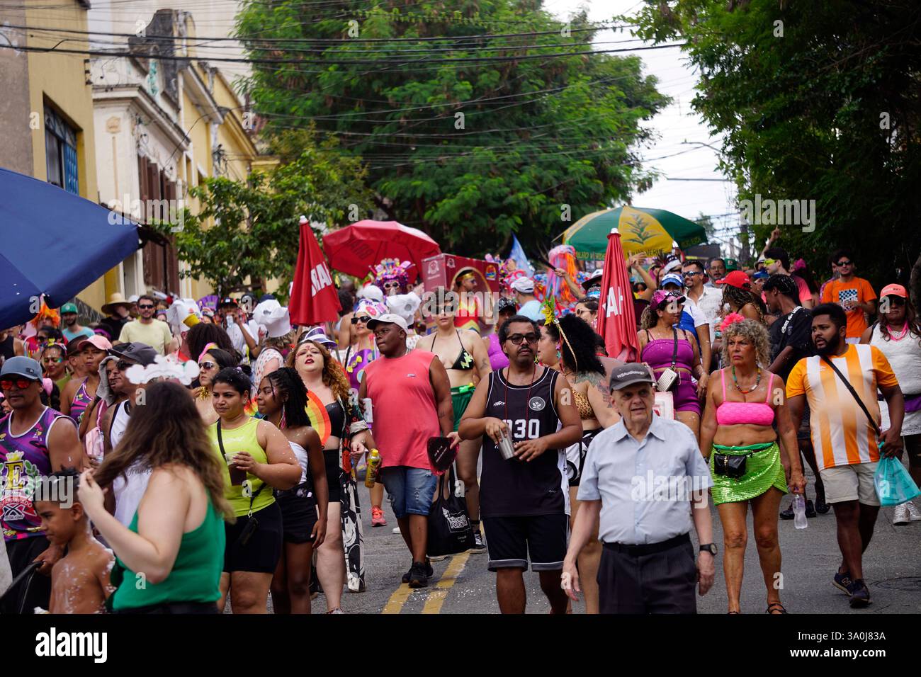 Revelers have fun at the carnival street party in Sao Paulo, Brazil, on ...