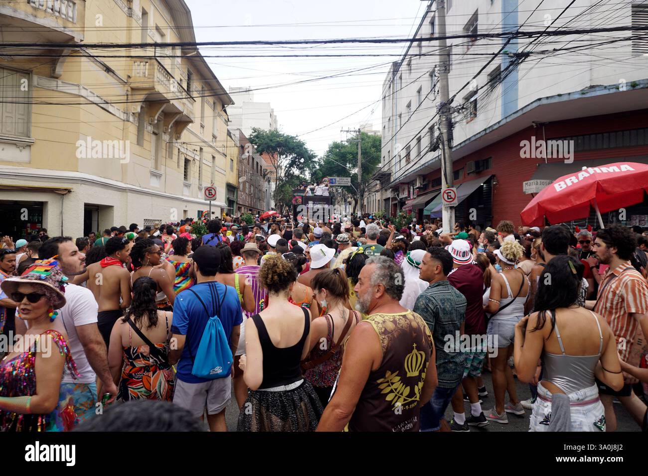 Revelers have fun at the carnival street party in Sao Paulo, Brazil, on ...