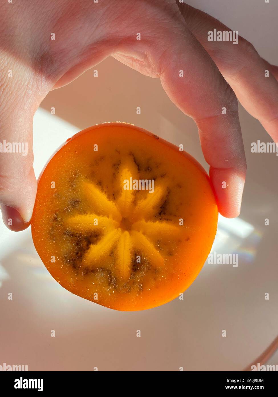 A close-up of a persimmon slice showcases its translucent, glowing ...