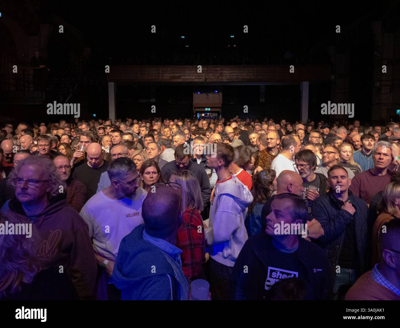 Shed Seven - Crowd Stock Photo - Alamy