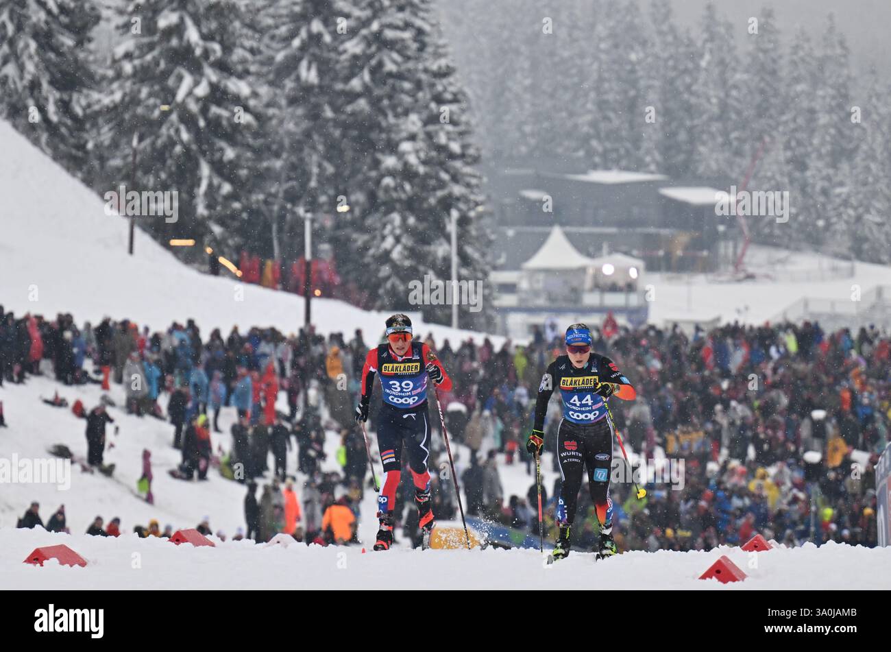 04 March 2025, Norway, Trondheim: Nordic skiing: World Championships ...