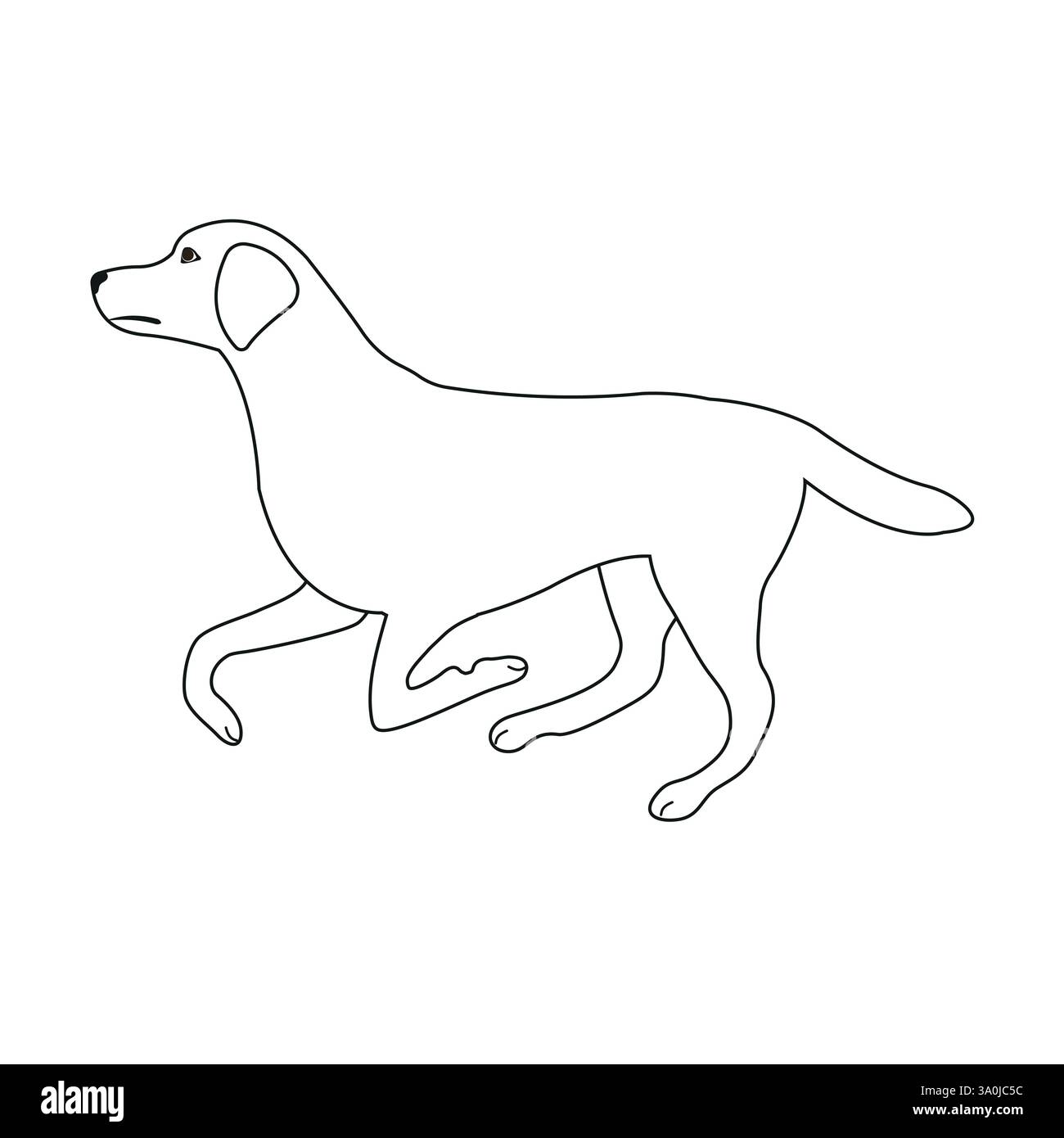 Vector flat hand drawn outline labrador dog Stock Vector Image & Art ...
