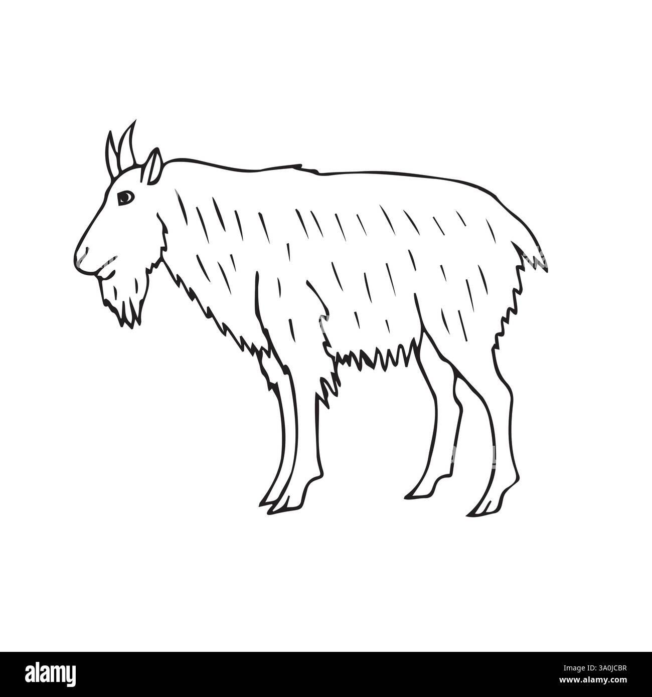 Vector hand drawn sketch doodle outline wild goat Stock Vector Image ...