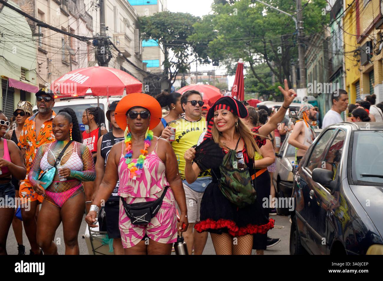 Revelers have fun at the carnival street party in Sao Paulo, Brazil, on ...