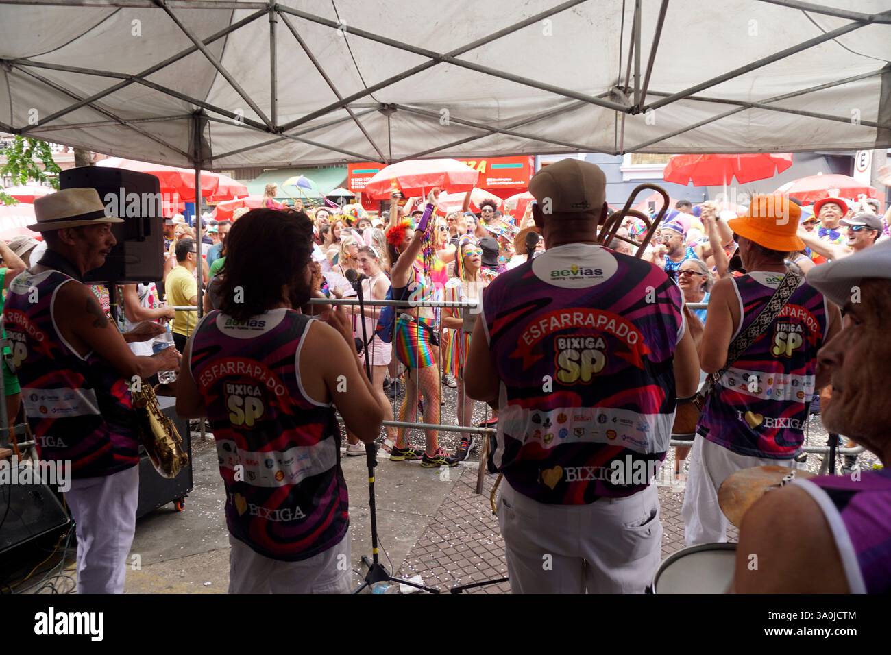 Revelers have fun at the carnival street party in Sao Paulo, Brazil, on ...