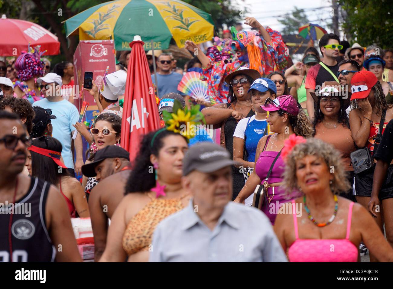 Revelers have fun at the carnival street party in Sao Paulo, Brazil, on ...