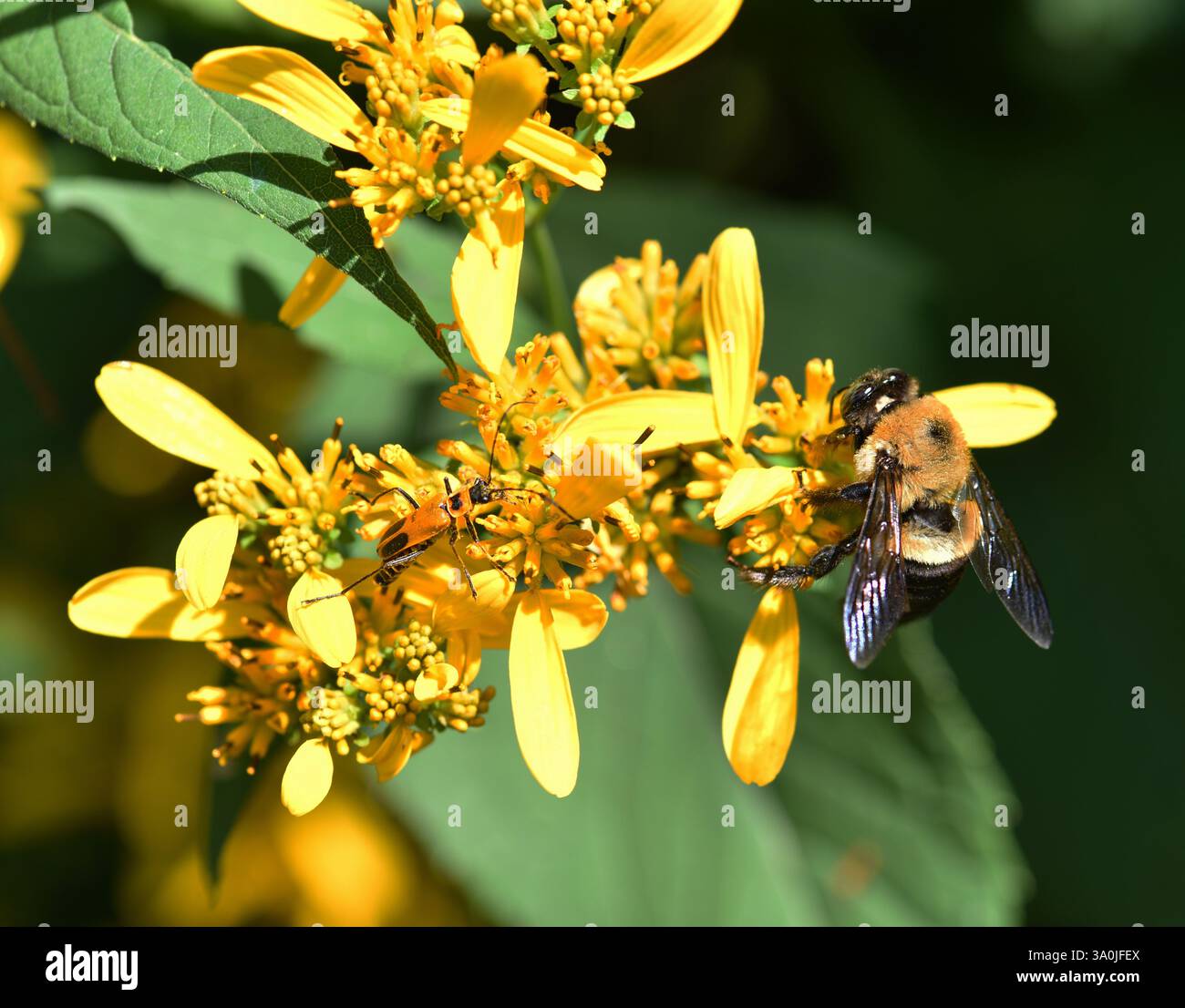 Chill coma hi-res stock photography and images - Alamy