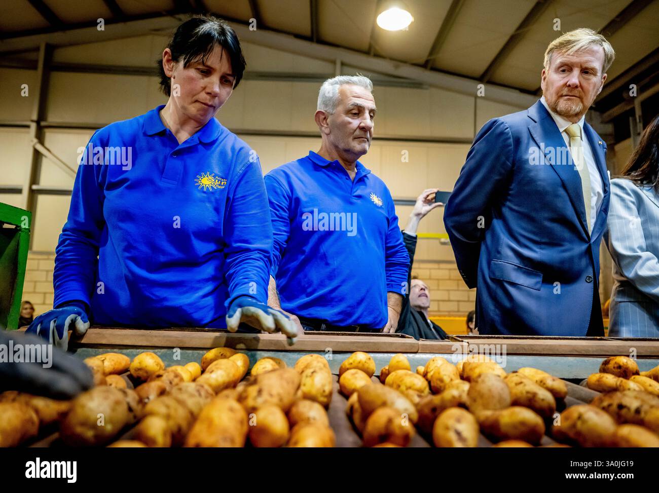 King Willem-Alexander during a visit to Potato grower Sun Potatoes in ...