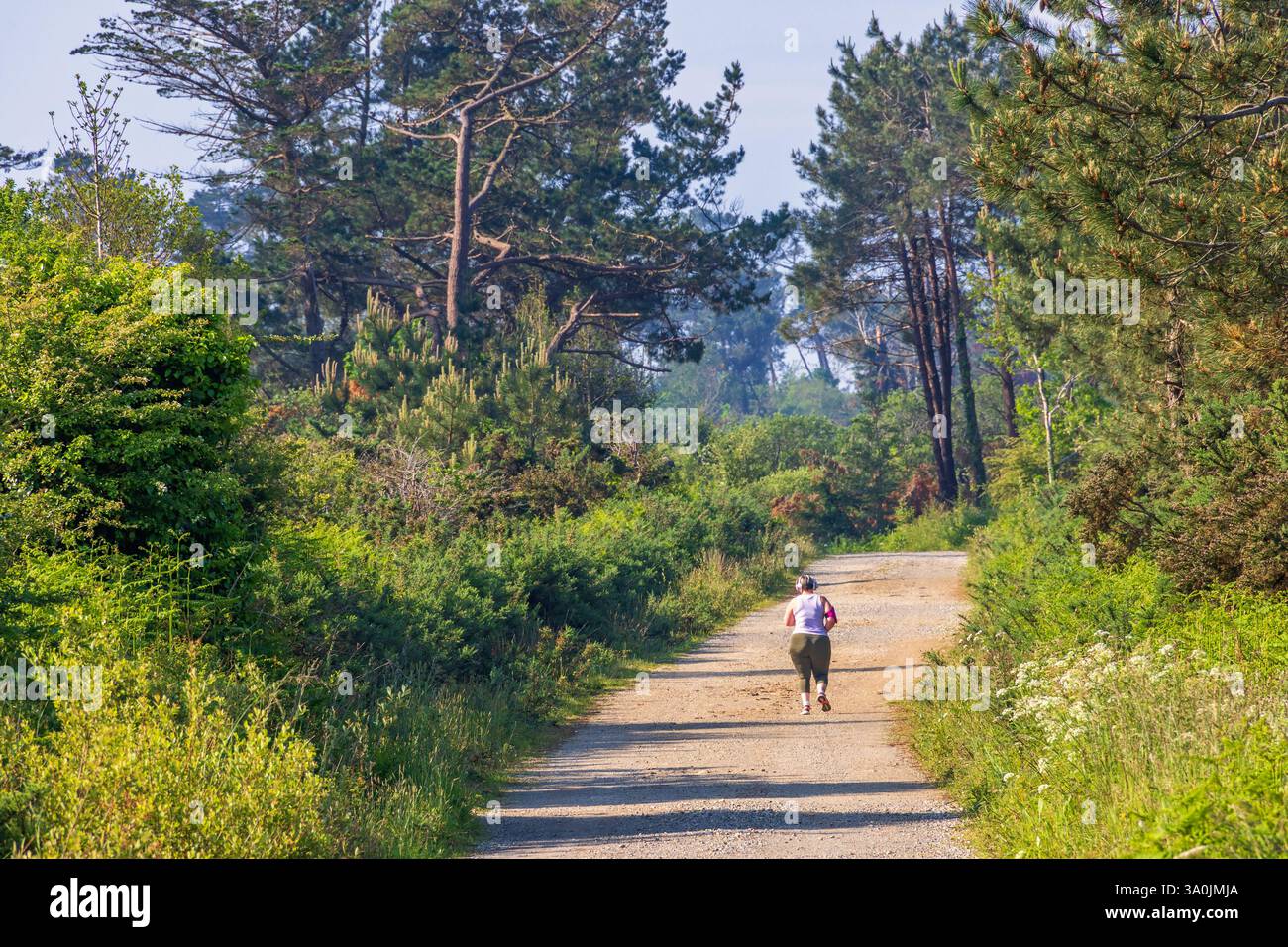 Female runner in slow motion hi-res stock photography and images - Alamy