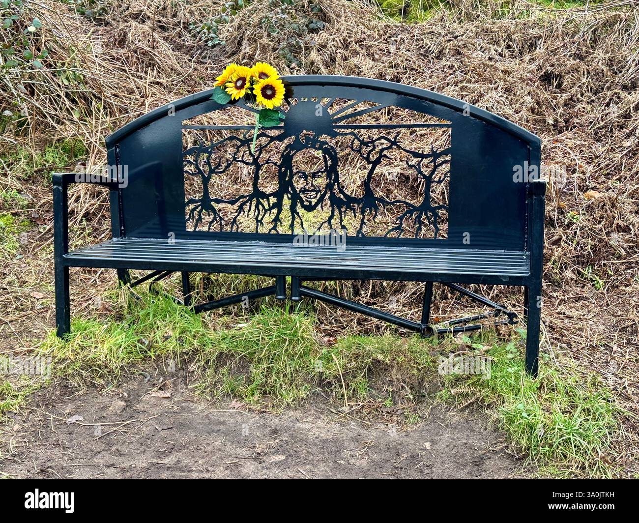 A metal memorial bench with sunflowers on The Chevin footpath Stock ...