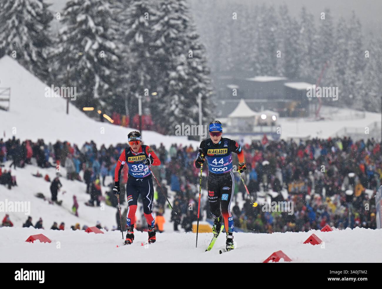 04 March 2025, Norway, Trondheim: Nordic skiing: World Championships ...
