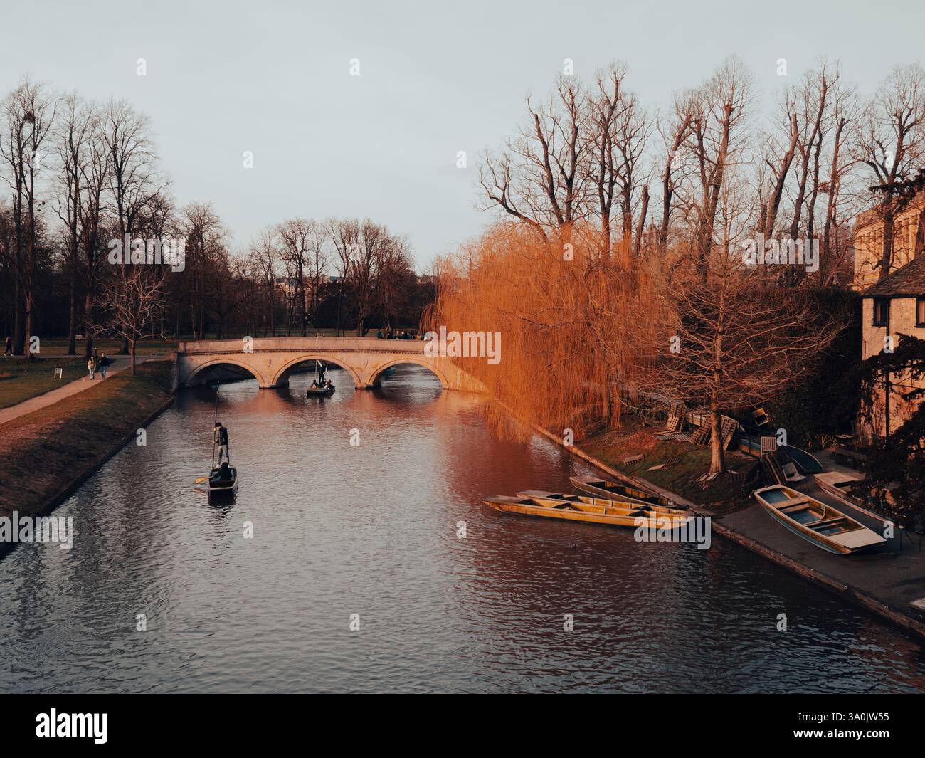Punting, Trinity College Bridge, River Cam, Trinity College, University ...