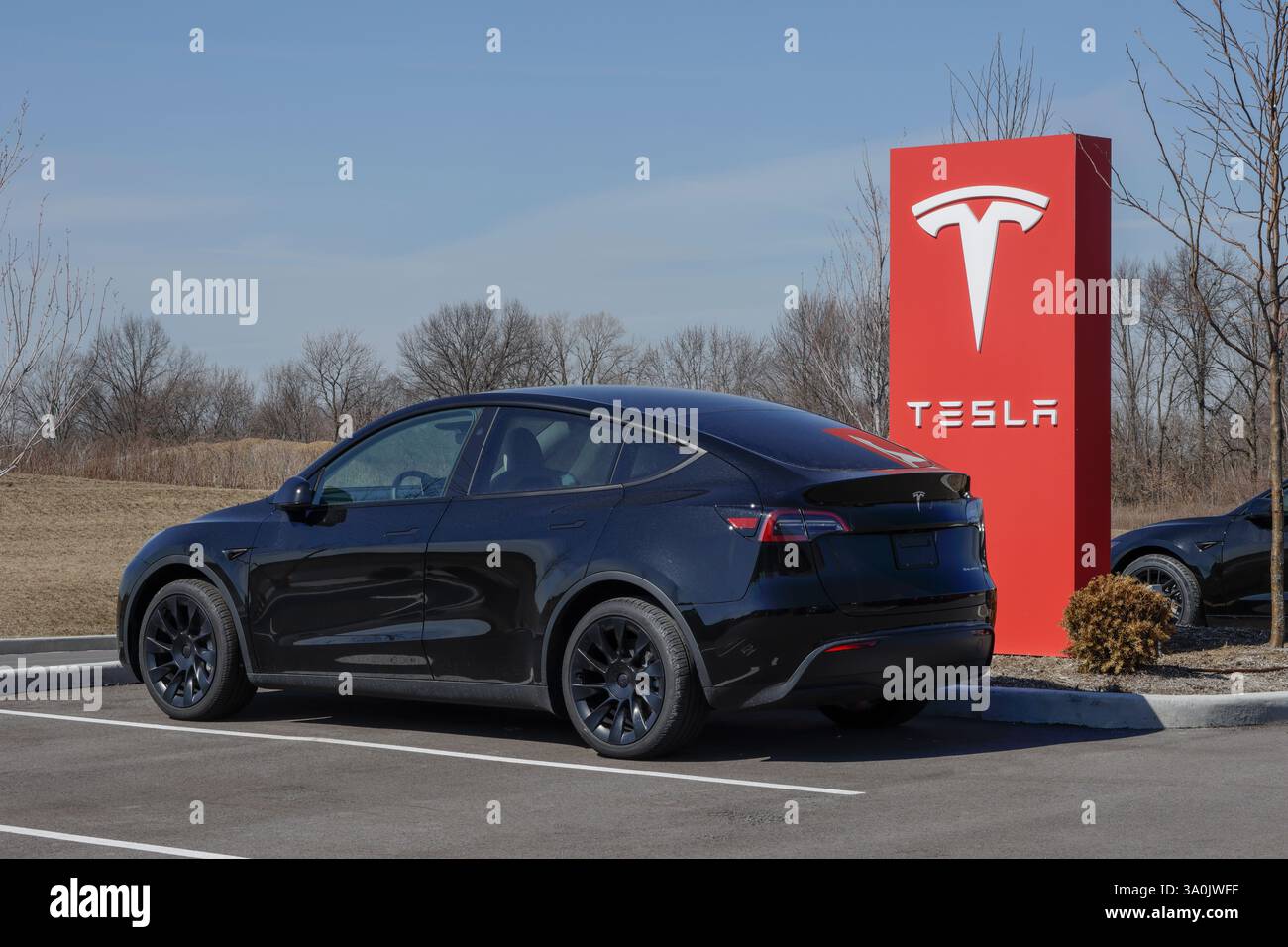 Indianapolis - March 2, 2025: Tesla Model Y display at a dealership ...