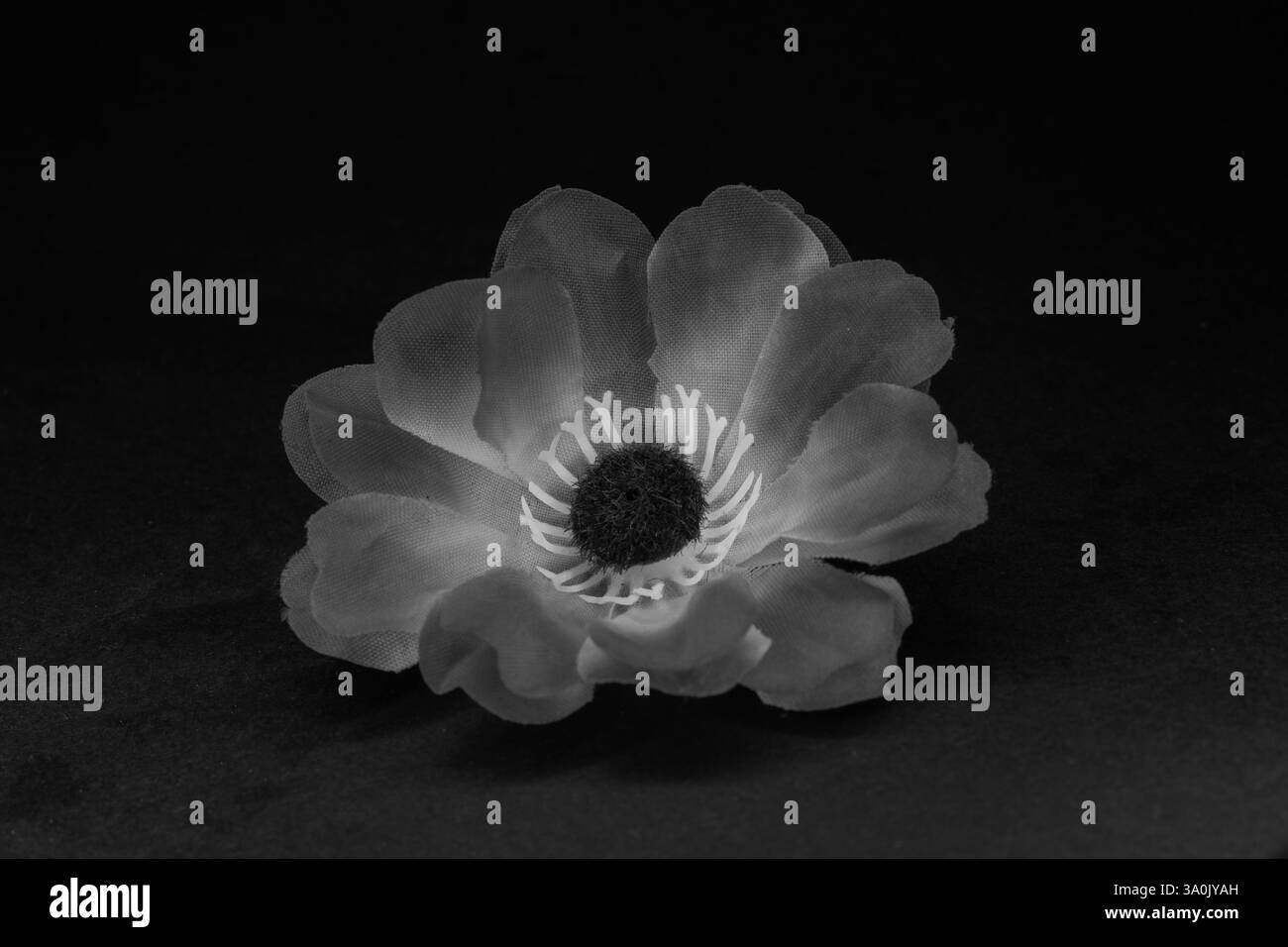Wallpaper flowers image hi-res stock photography and images - Alamy