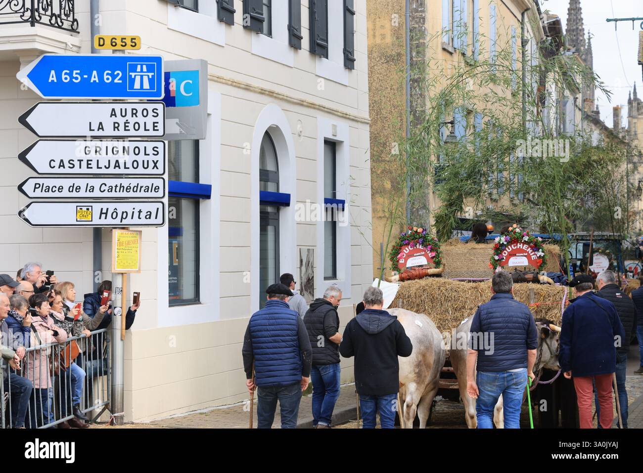 The famous "Bazas Fat Ox Festival" in Gironde in southwestern France ...