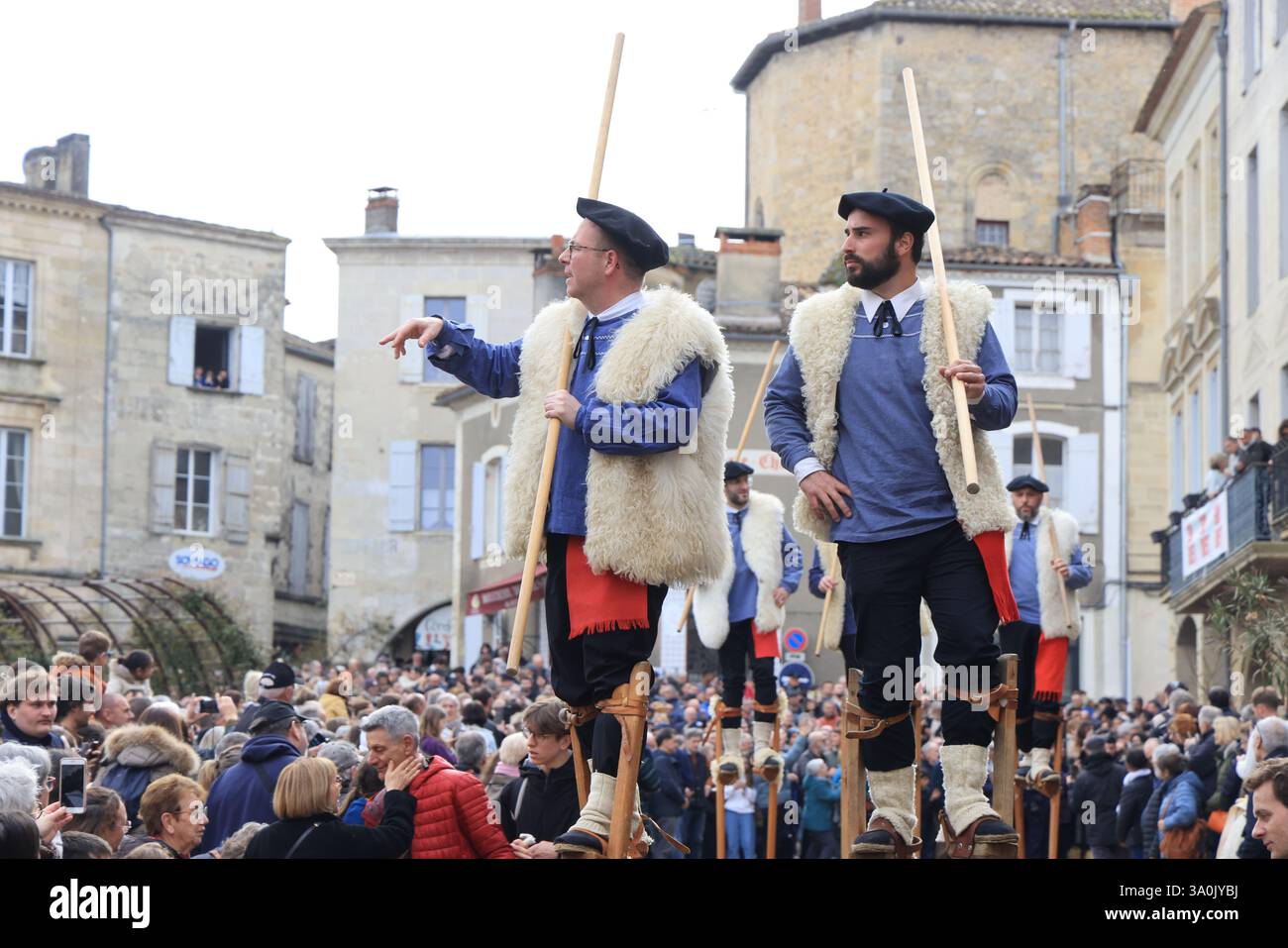 The famous "Bazas Fat Ox Festival" in Gironde in southwestern France ...