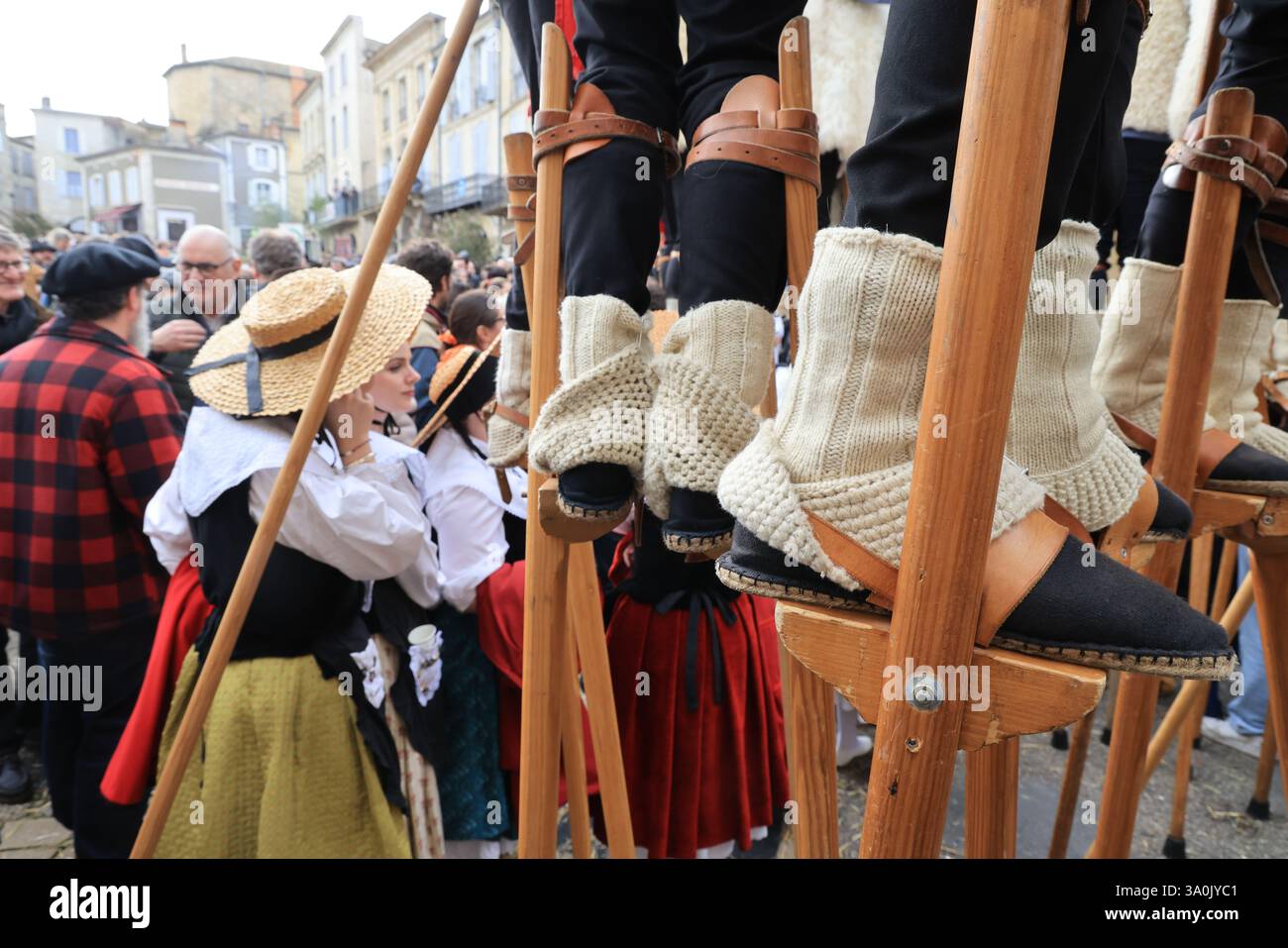 The famous "Bazas Fat Ox Festival" in Gironde in southwestern France ...