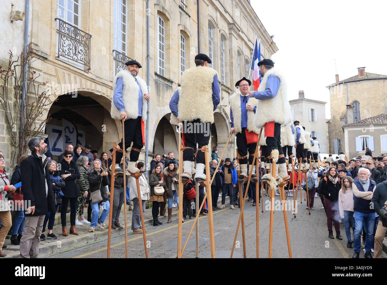 The famous "Bazas Fat Ox Festival" in Gironde in southwestern France ...