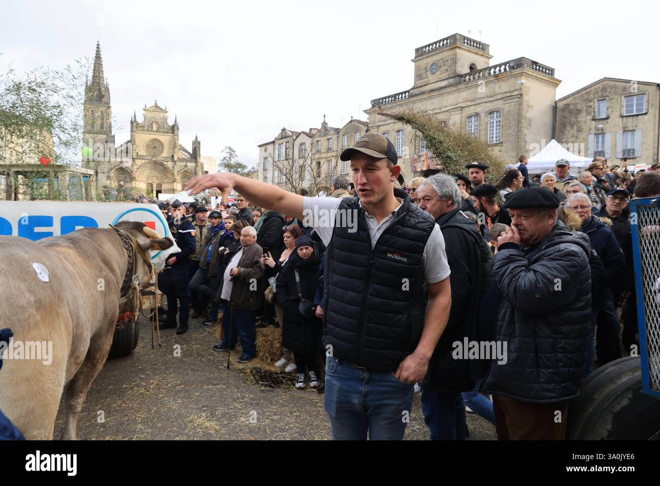 The famous "Bazas Fat Ox Festival" in Gironde in southwestern France ...