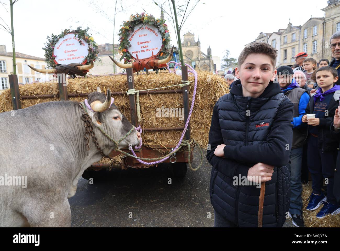 The famous "Bazas Fat Ox Festival" in Gironde in southwestern France ...