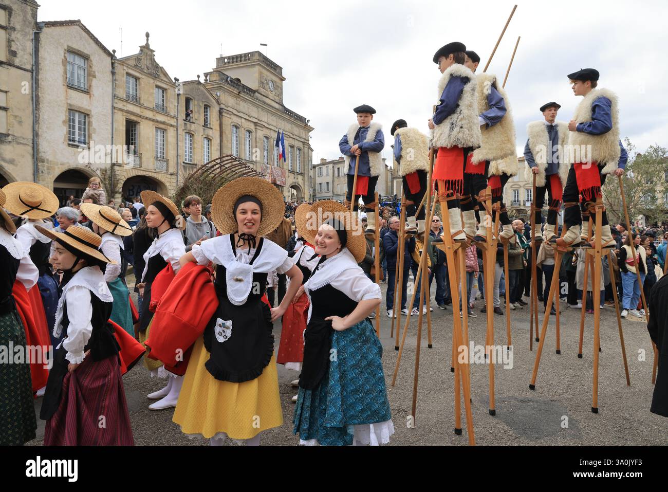 The famous "Bazas Fat Ox Festival" in Gironde in southwestern France ...