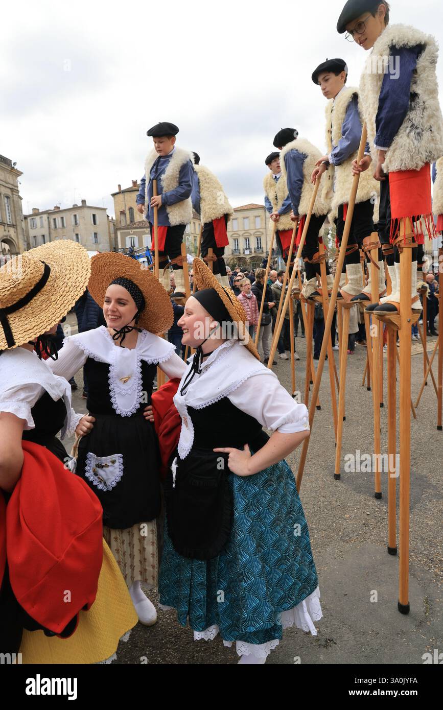 The famous "Bazas Fat Ox Festival" in Gironde in southwestern France ...